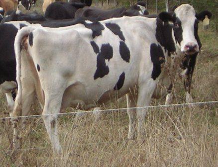 » Learning the alphabet