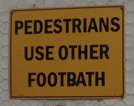 » What is poor phonemic awareness?