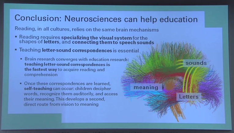 » How the brain learns to read