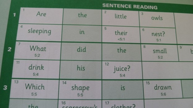 » Phonics and Early Reading Assessment