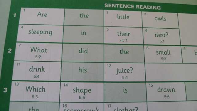 » Phonics and Early Reading Assessment