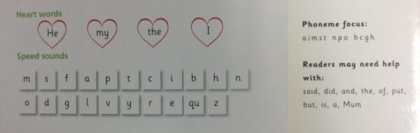 » Dissing, choosing and teaching sight words